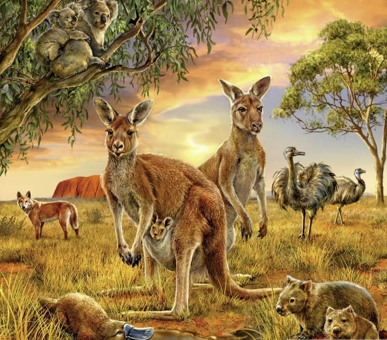 Group of Australian Animals – All Diamond Painting
