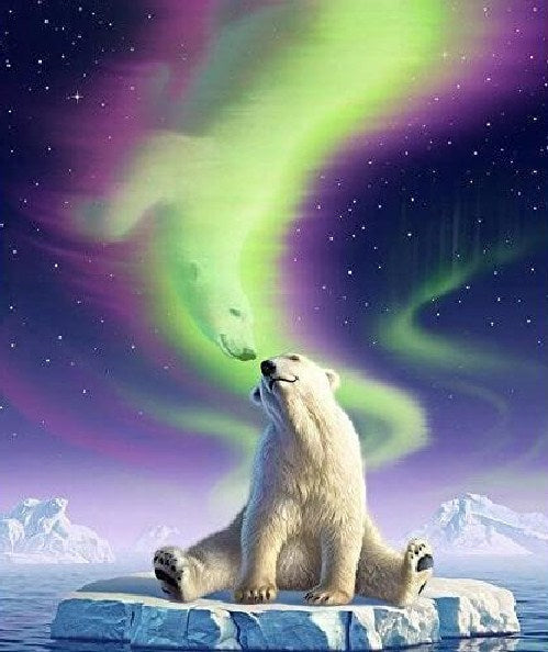 polar bear lights