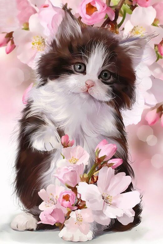 Cat in Cherry Blossom – All Diamond Painting