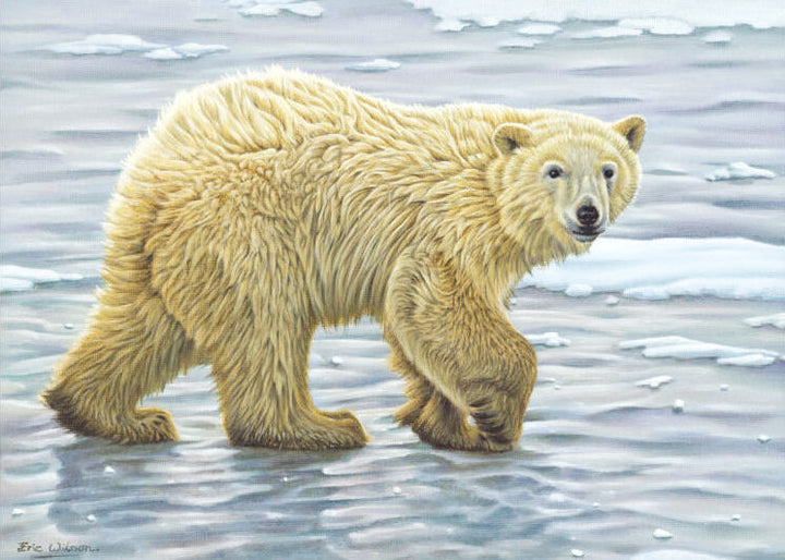 Eric Wilson – All Diamond Painting
