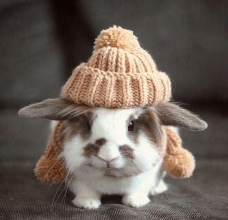 Cute Rabbit Wearing Cap – All Diamond Painting