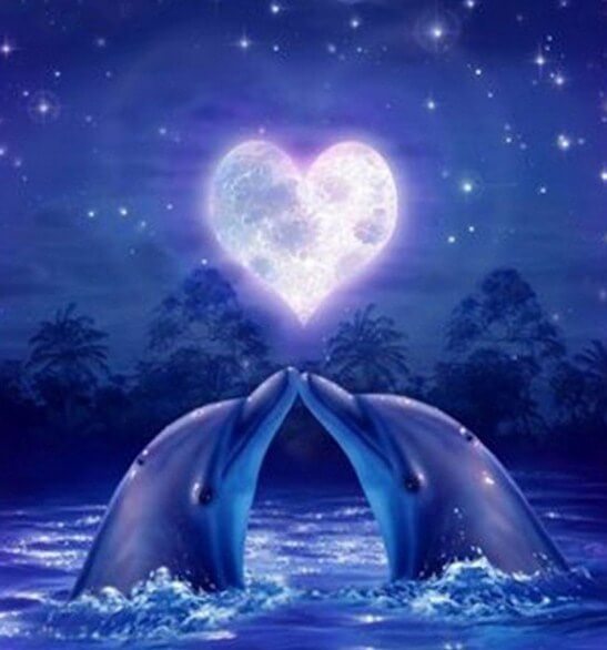 Dolphins Pair in Love – All Diamond Painting