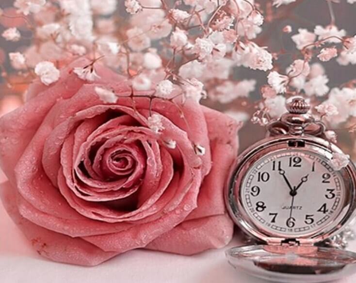 Pink Rose & Clock – All Diamond Painting