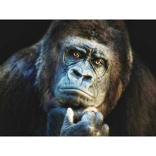 Stunning Gorilla - Diamond Painting – All Diamond Painting