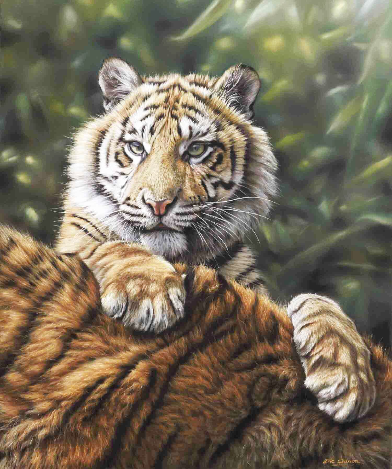 Sumatran Tiger Cub And Mother - Art by Eric Wilson – All Diamond Painting
