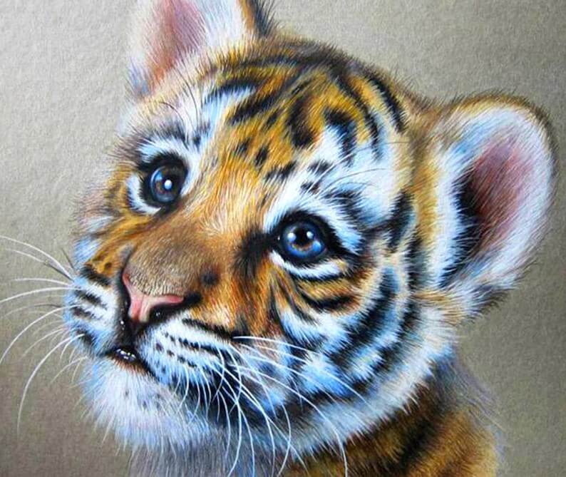 Tiger Cub Painting Kit – All Diamond Painting
