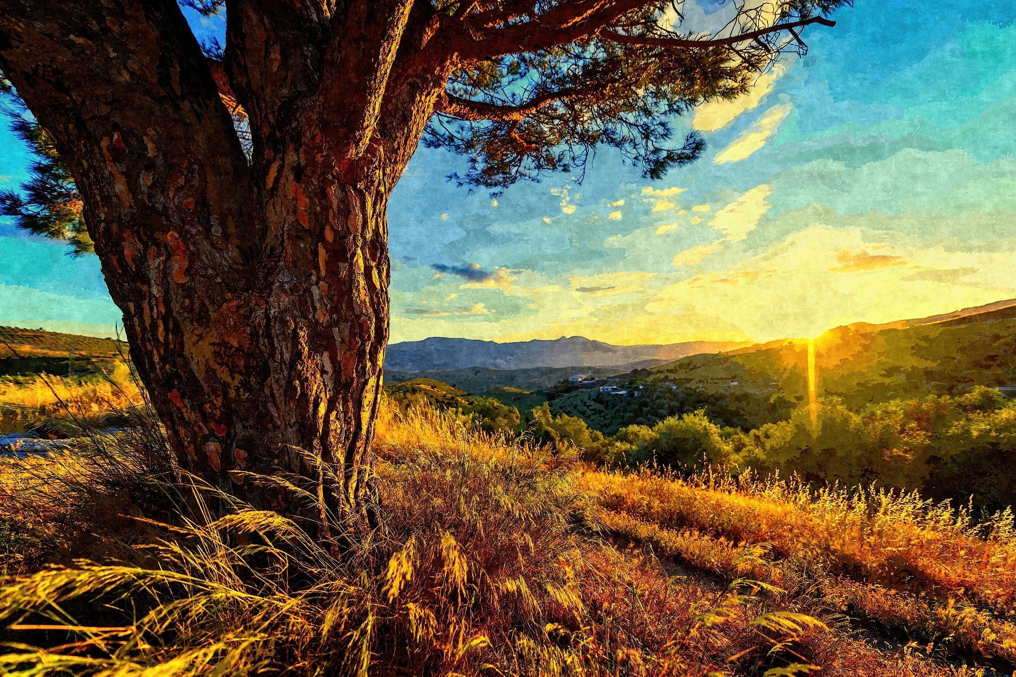Gnarled Tree At Sunset - Art by Denise Dundon – All Diamond Painting